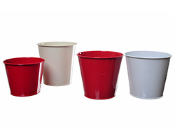 Prodajni asortiman - Lilium